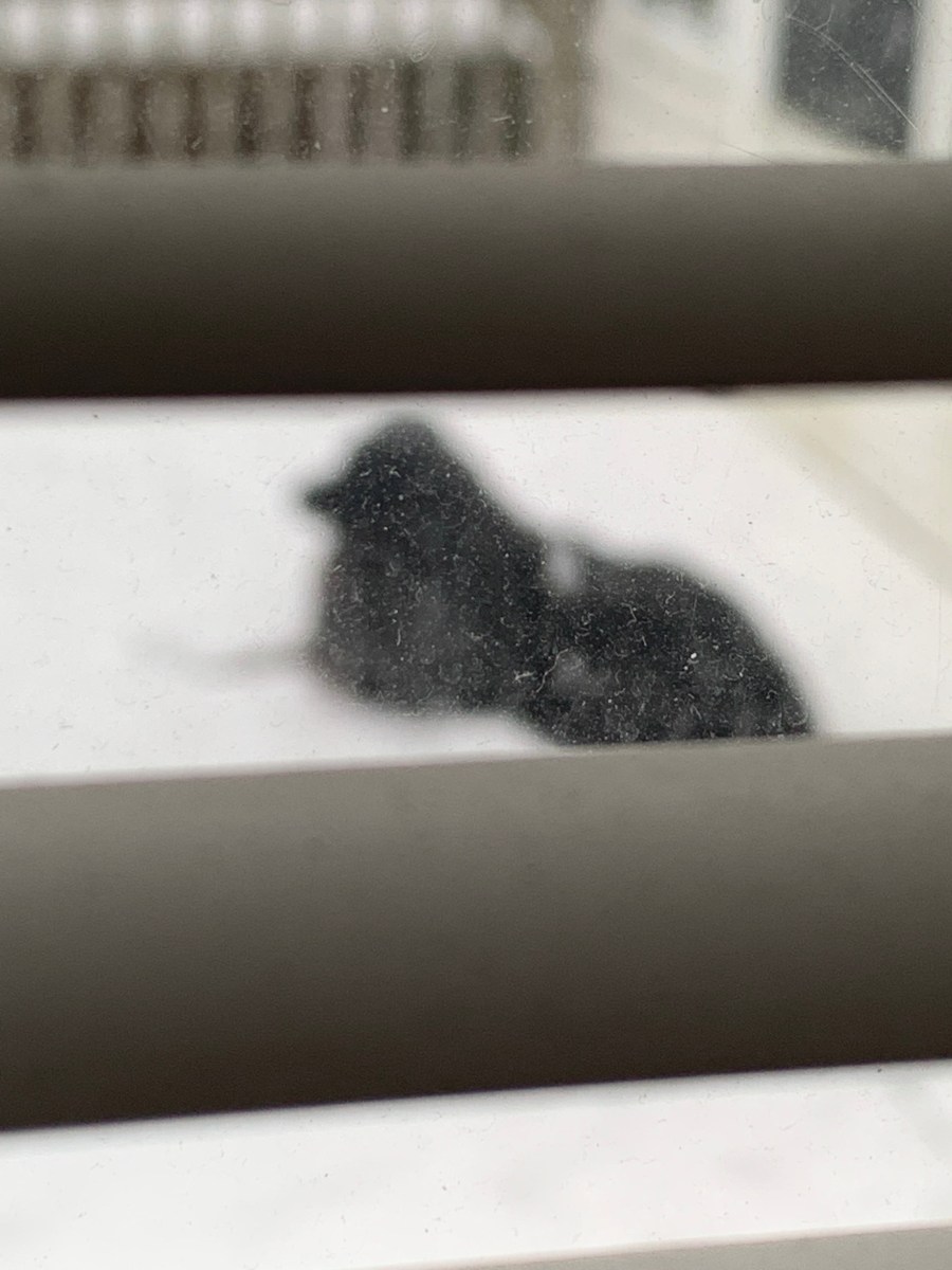 Feel The Dope Slap [on Not So Flawed Wednesday] | The Direction of ...