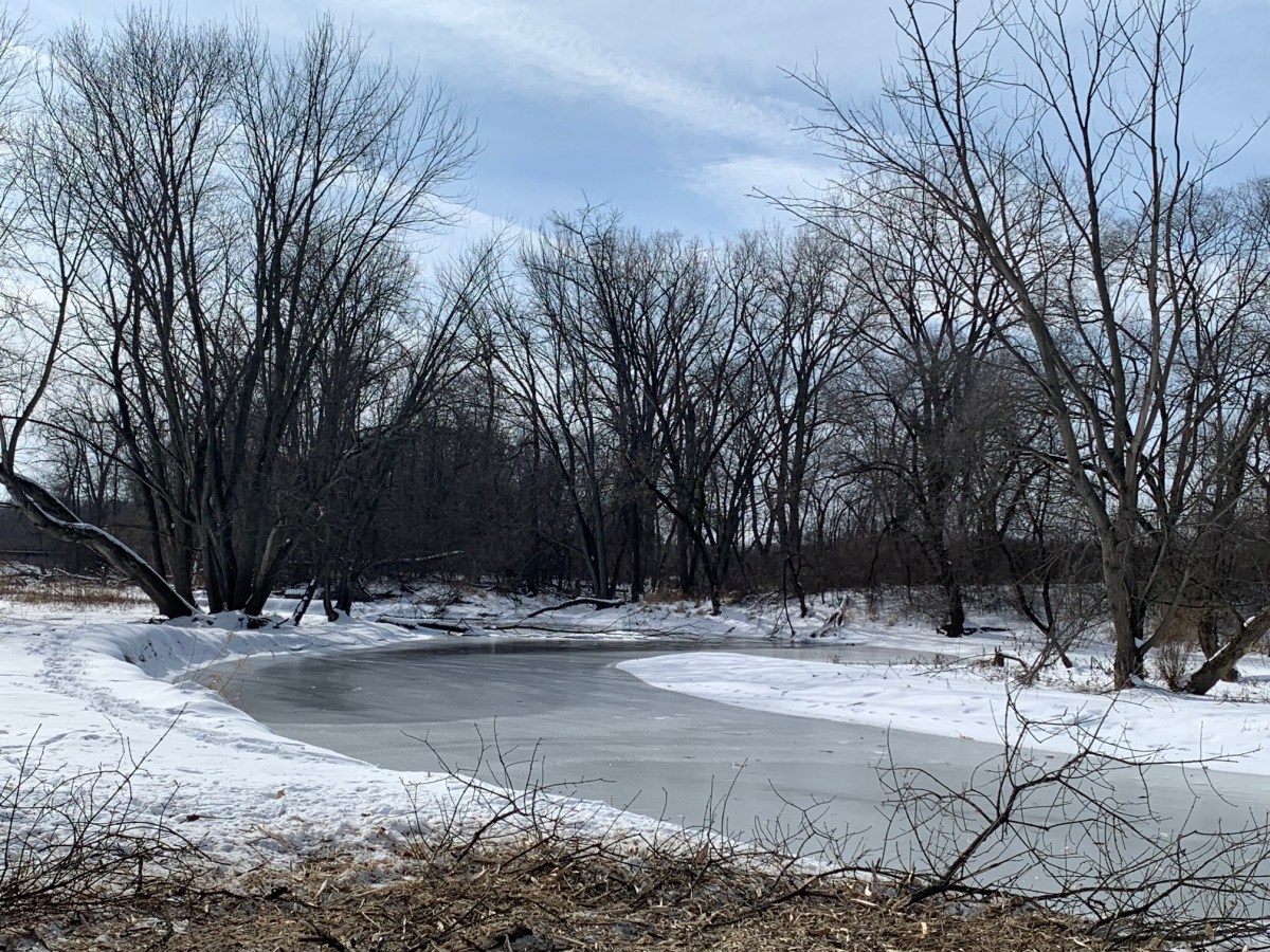 Step Off The Path [on DR Thursday] | The Direction of Intention